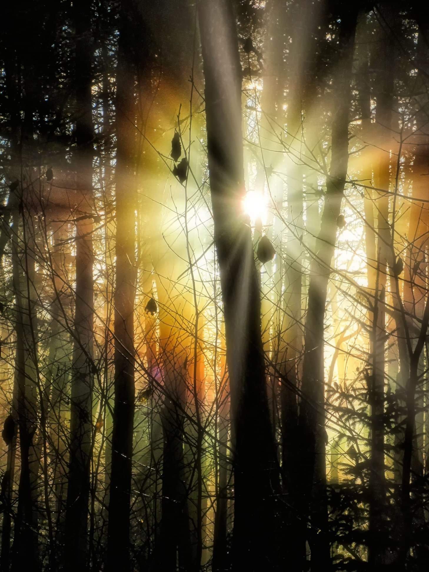 Peter Bacon’s 10 F#CK Rule – Dennis Mantin